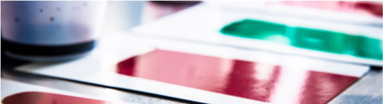 PRODUKTE | Coloranti e Pigmenti per l'Industria | Colorlac