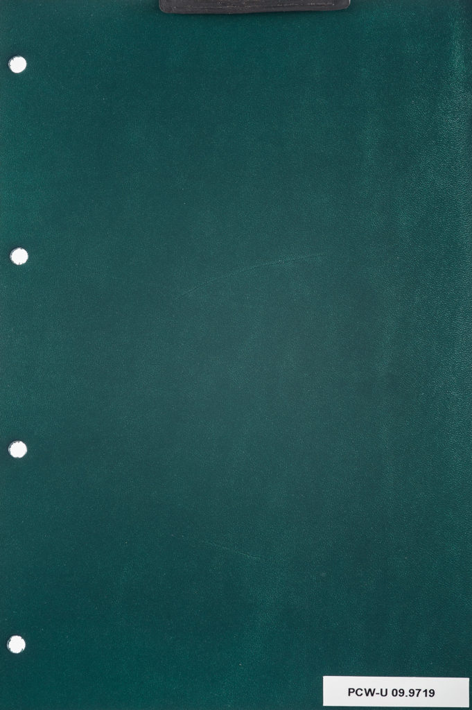 pcw-u09.9719 | Coloranti e Pigmenti per l'Industria | Colorlac